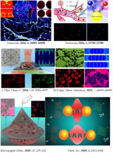 Paresh Chandra Ray - Department of Chemistry, Physics, and Atmospheric ...