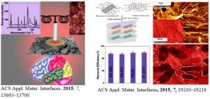 Paresh Chandra Ray - Department of Chemistry, Physics, and Atmospheric ...