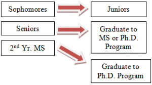 Program Structure - CSET Scholars Academy & Student Support Services ...