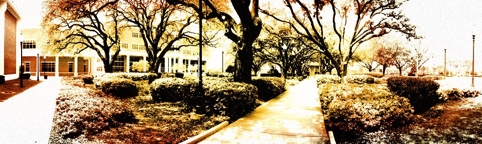 Jackson State University | Center for University-Based Development ...