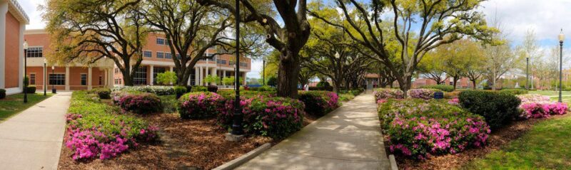 Office of the President - Office of The President | Jackson State ...